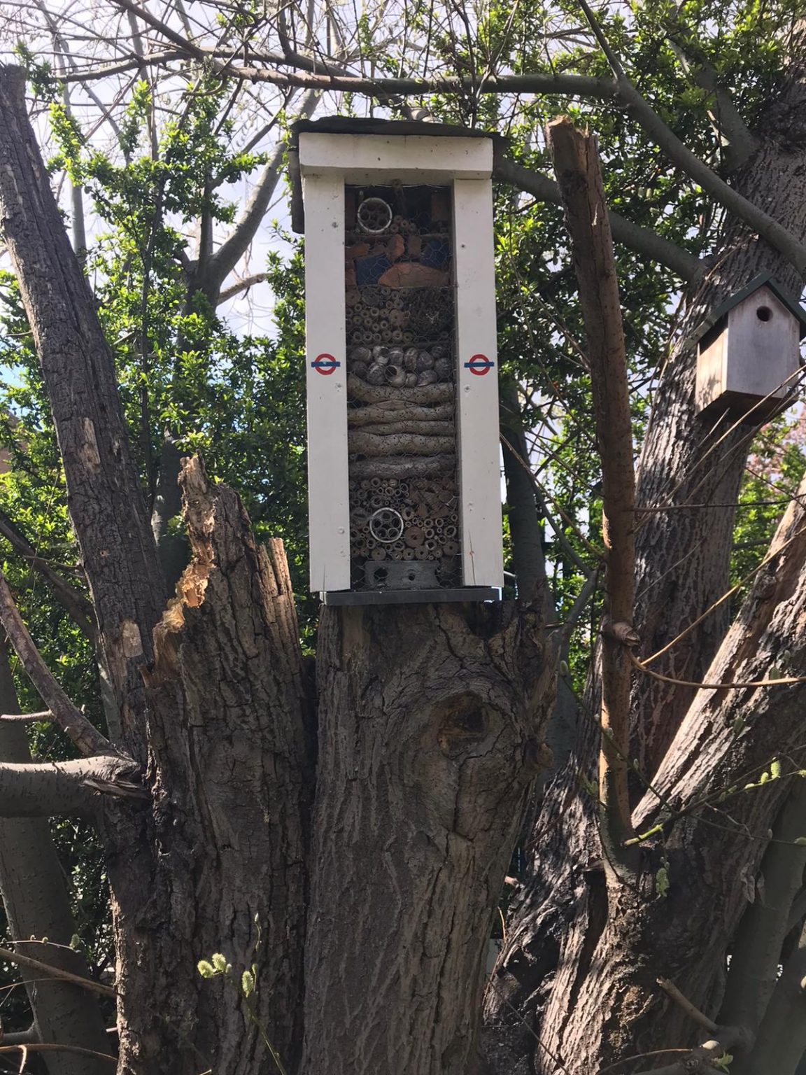 Bug Hotels and Bird Boxes – Bee Friendly Trust