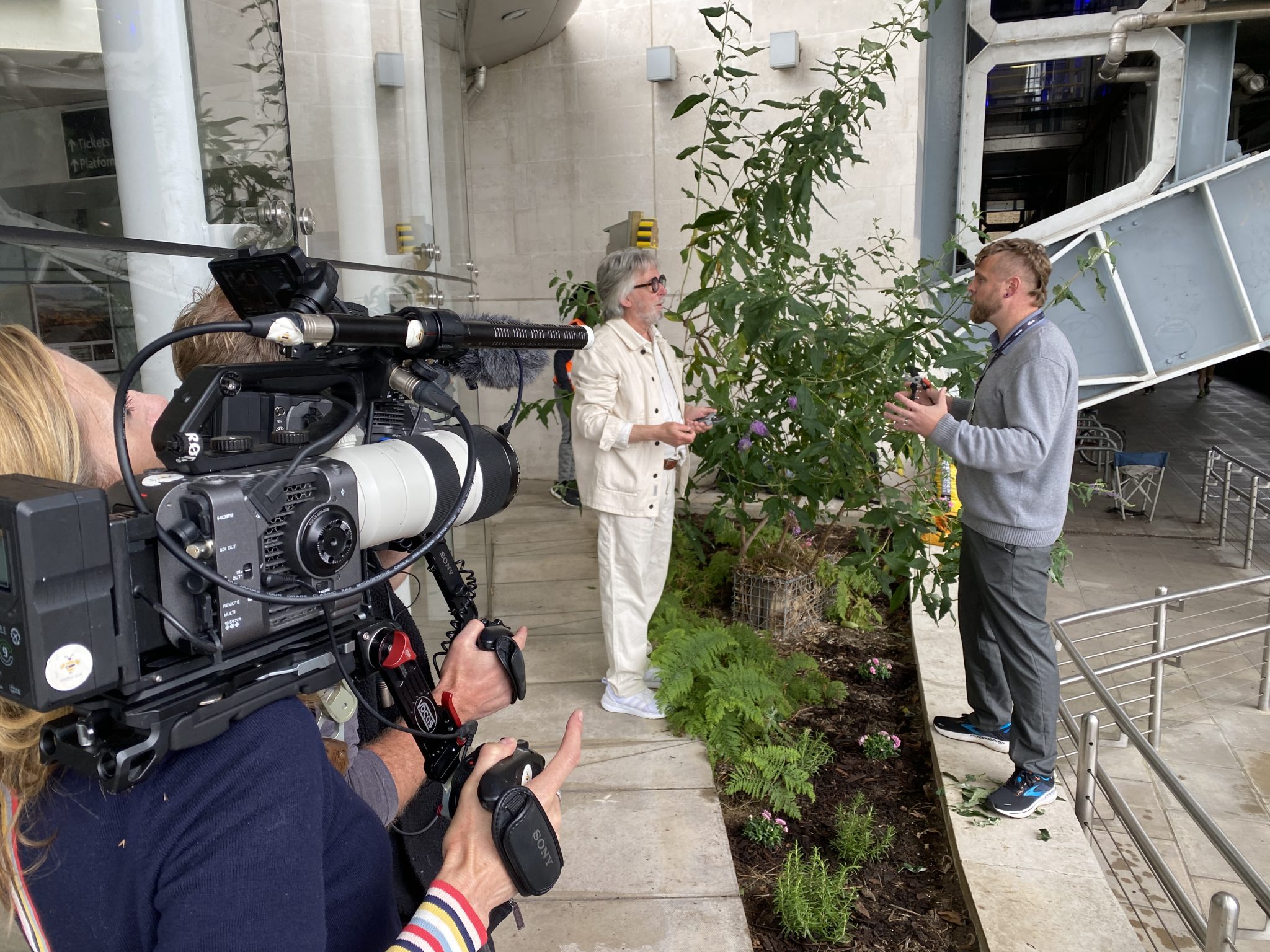 Bee Friendly Trust – Creating habitats for honey bees and pollinators ...