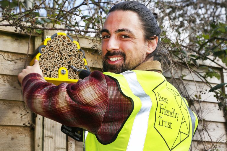 Bee Friendly Trust – Creating habitats for honey bees and pollinators ...